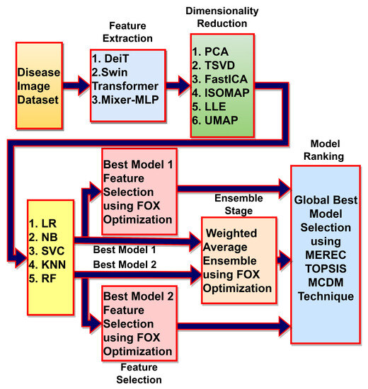 A Framework for Detecting Thyroid Cancer from Ultrasound and Histopathological Images Using Deep ...