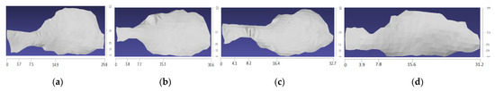 3D Reconstruction of Fishes Using Coded Structured Light