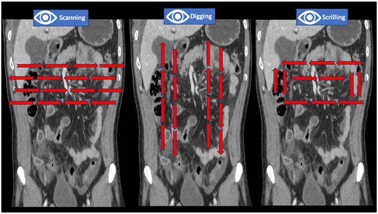 When Not to Operate on Acute Cases—A Surgeon’s Perspective on Rapid ...
