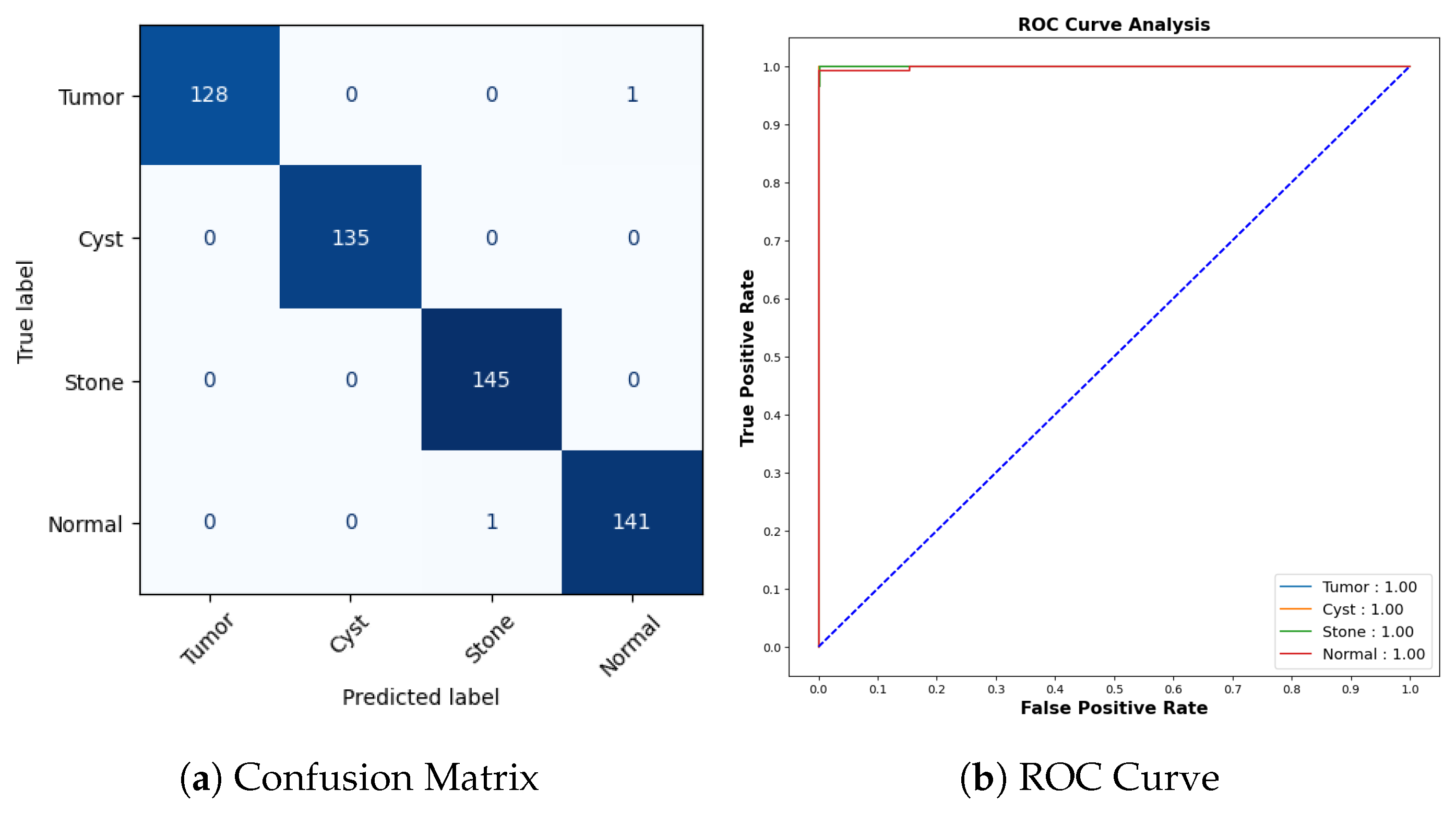 J. Imaging | Free Full-Text | Evaluating Retinal Disease Diagnosis with ...