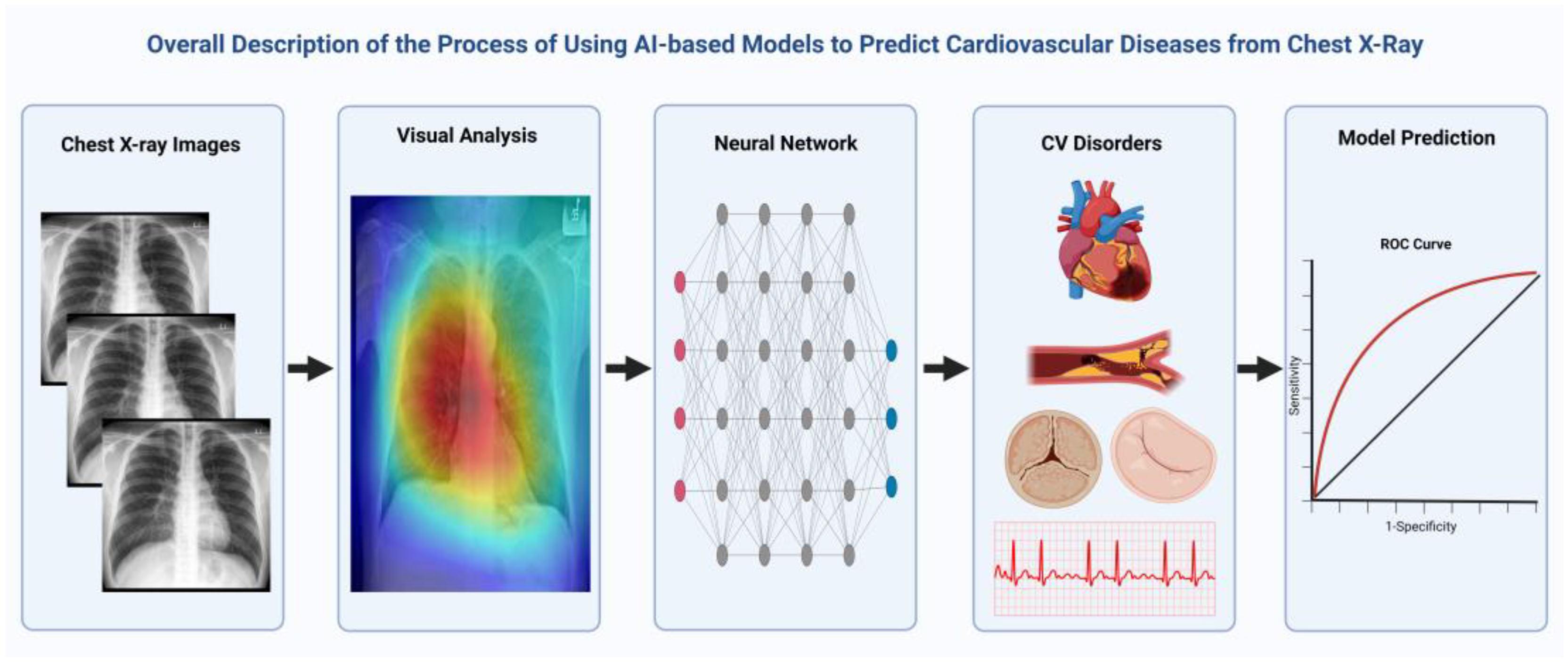 Artificial Intelligence-Based Prediction of Cardiovascular Diseases from Chest Radiography