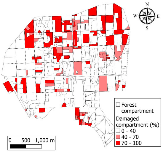 Forest Disturbance Monitoring Using Cloud-Based Sentinel-2 Satellite ...