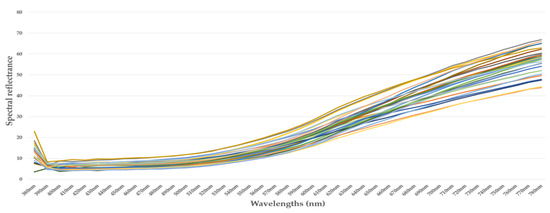 Classification of Cocoa Beans by Analyzing Spectral Measurements Using Machine Learning and ...
