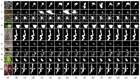 Features Split And Aggregation Network For Camouflaged Object Detection