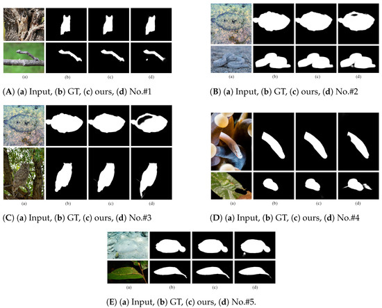 Features Split and Aggregation Network for Camouflaged Object Detection