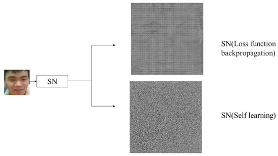Privacy-Preserving Face Recognition Method Based on Randomization and ...