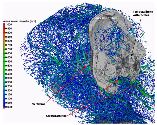 Development of A Micro-CT Scanner with Dual-Energy Option and ...