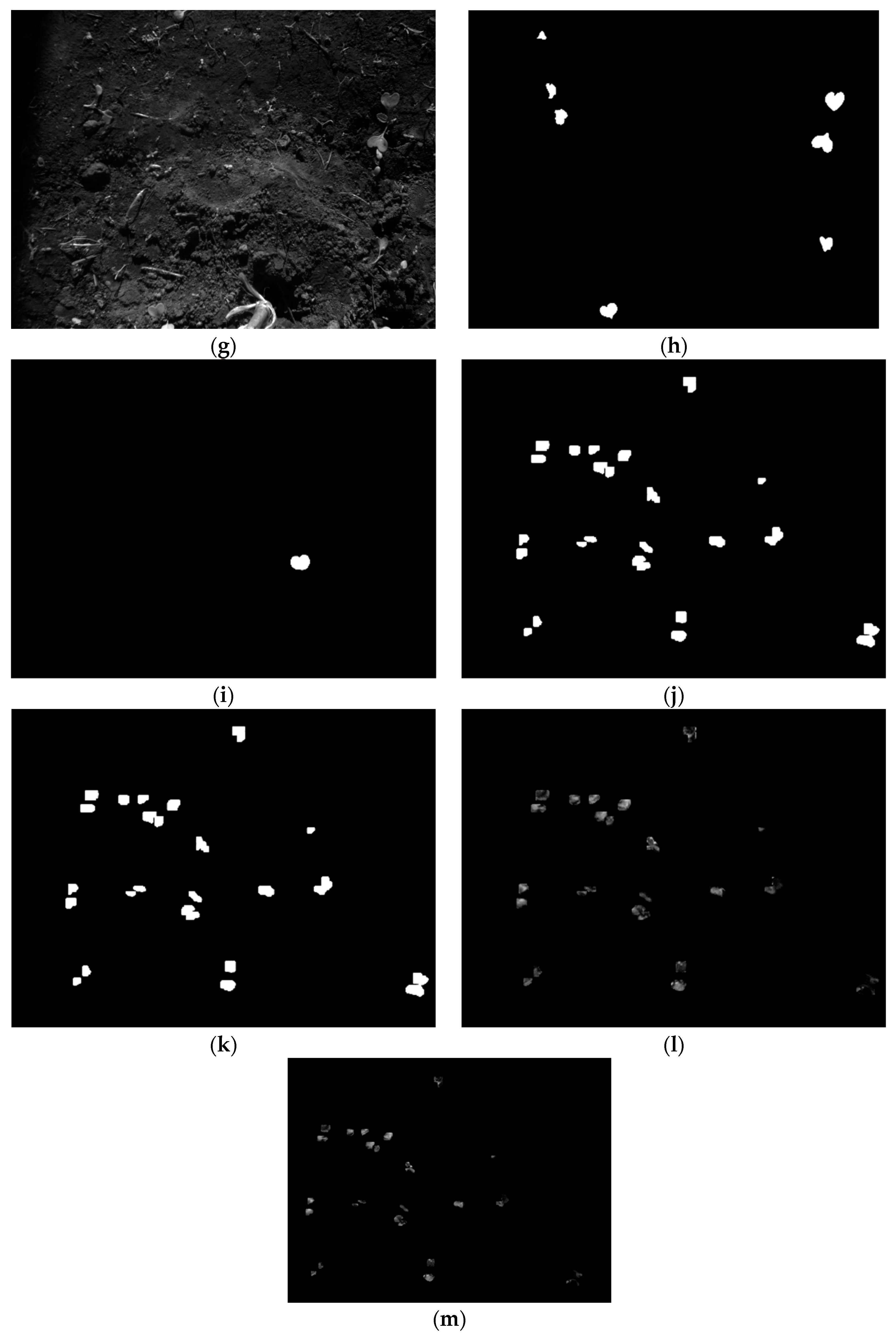 Comprehensive Evaluation of Multispectral Image Registration Strategies ...