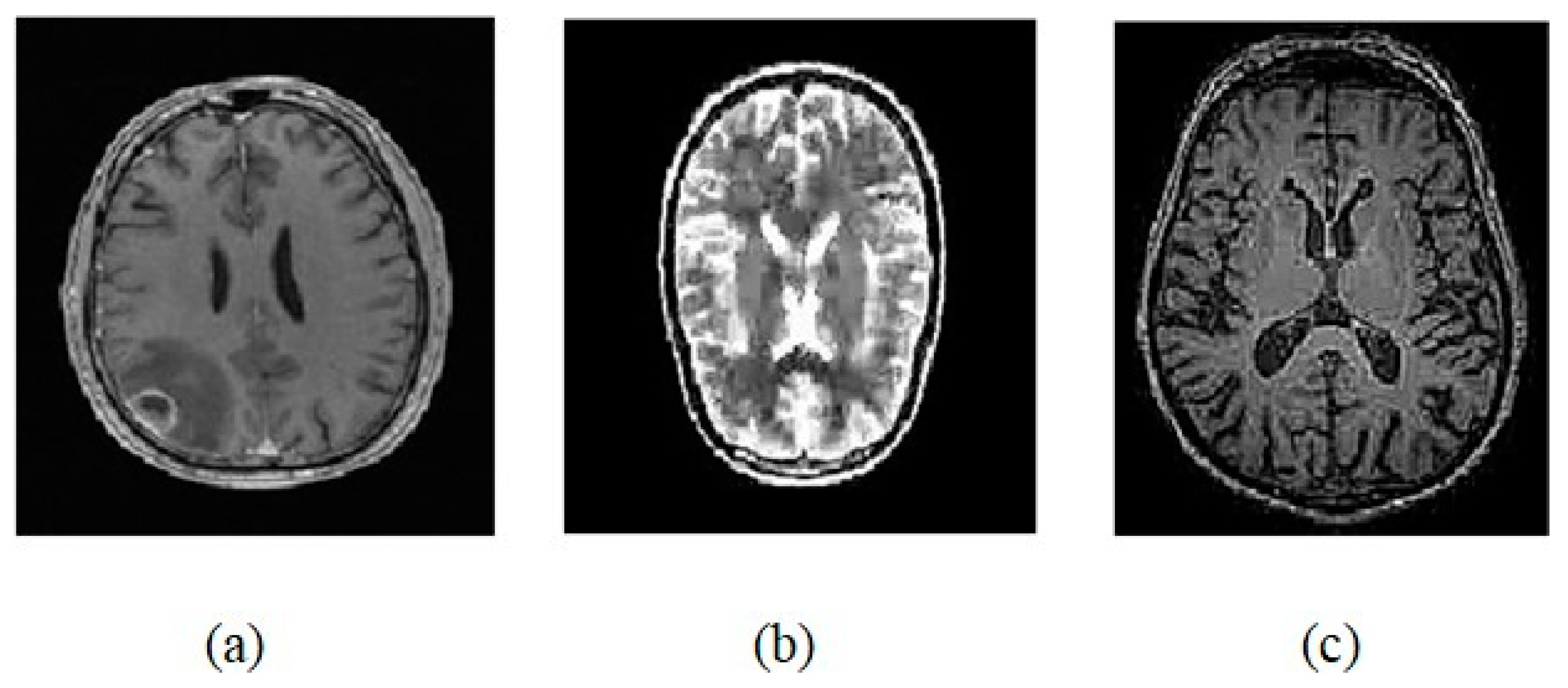 J. Imaging | Free Full-Text | Measuring Effectiveness of Metamorphic ...