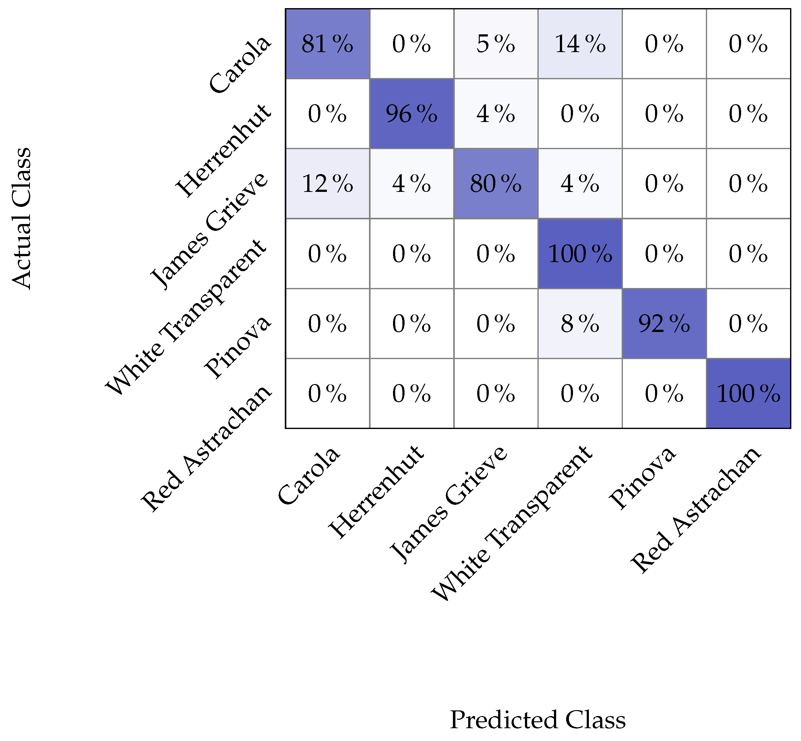 Enhancing Apple Cultivar Classification Using Multiview Images