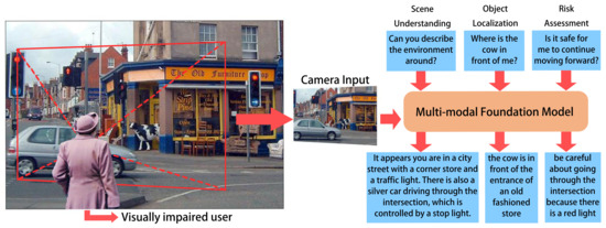 A Multi-Modal Foundation Model to Assist People with Blindness and Low ...