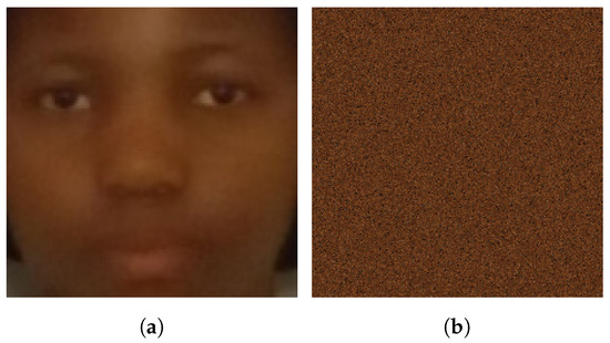 Skin Tone Estimation under Diverse Lighting Conditions