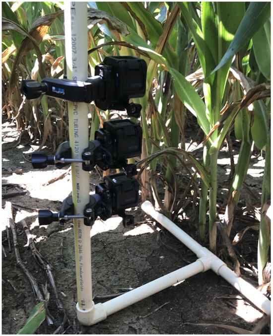 A New Dataset and Comparative Study for Aphid Cluster Detection and ...