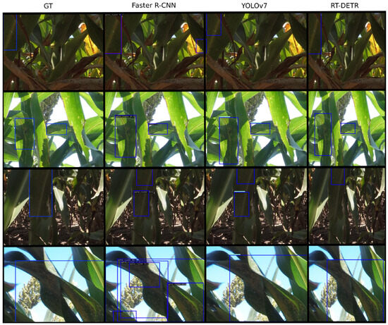 A New Dataset and Comparative Study for Aphid Cluster Detection and Segmentation in Sorghum Fields