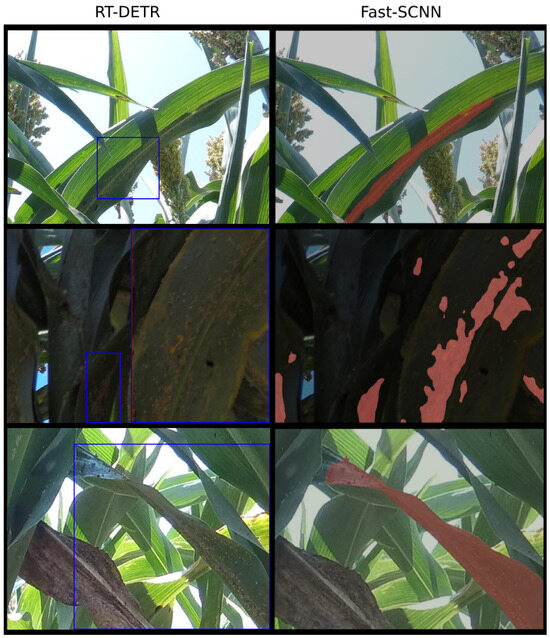 A New Dataset and Comparative Study for Aphid Cluster Detection and Segmentation in Sorghum Fields