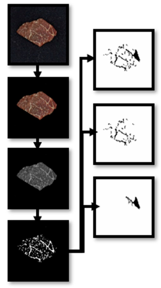 Modeling of Ethiopian Beef Meat Marbling Score Using Image Processing ...