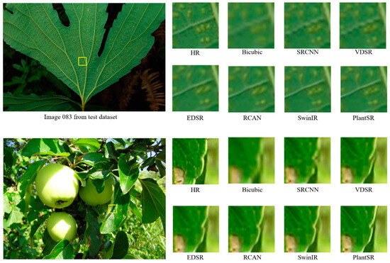 PlantSR: Super-Resolution Improves Object Detection in Plant Images