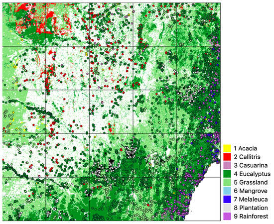 U-Net Convolutional Neural Network for Mapping Natural Vegetation and ...