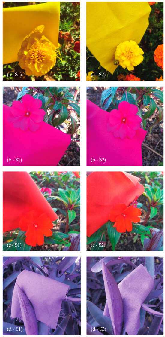 Color Biomimetics in Textile Design: Reproduction of Natural Plant ...