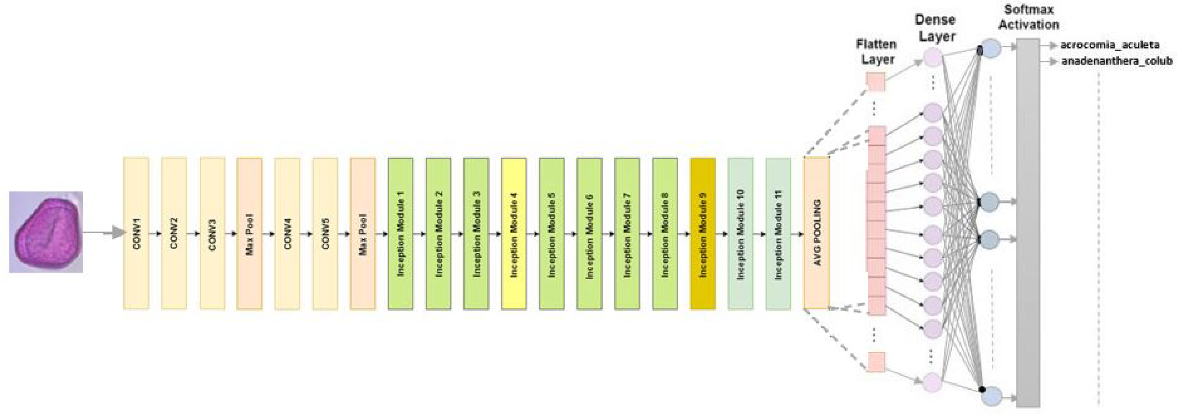 Pollen Grain Classification Using Some Convolutional Neural Network Architectures