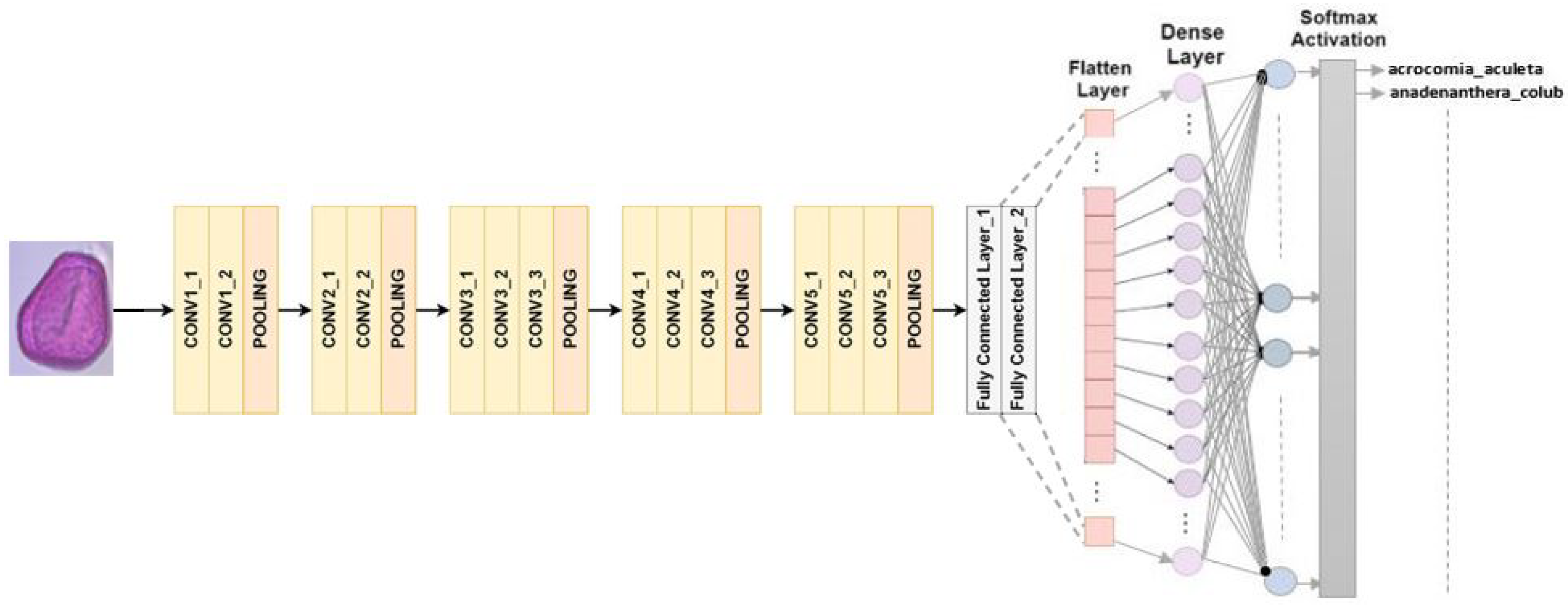 Pollen Grain Classification Using Some Convolutional Neural Network Architectures