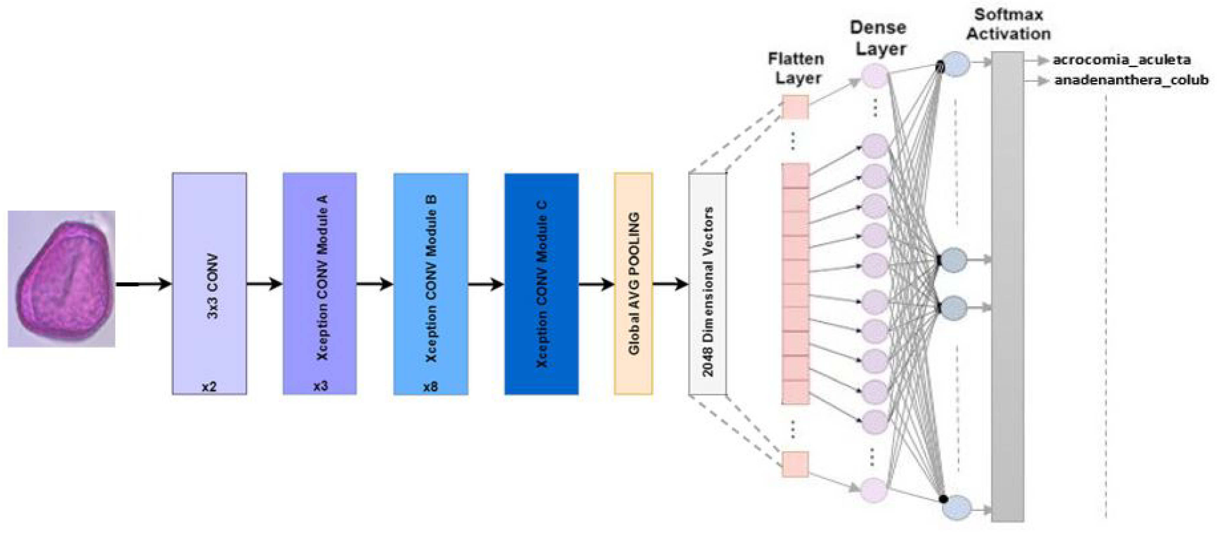 Pollen Grain Classification Using Some Convolutional Neural Network Architectures