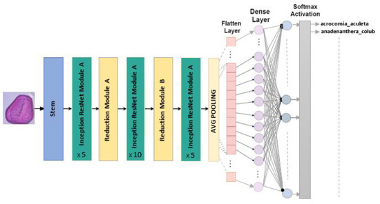 Pollen Grain Classification Using Some Convolutional Neural Network Architectures
