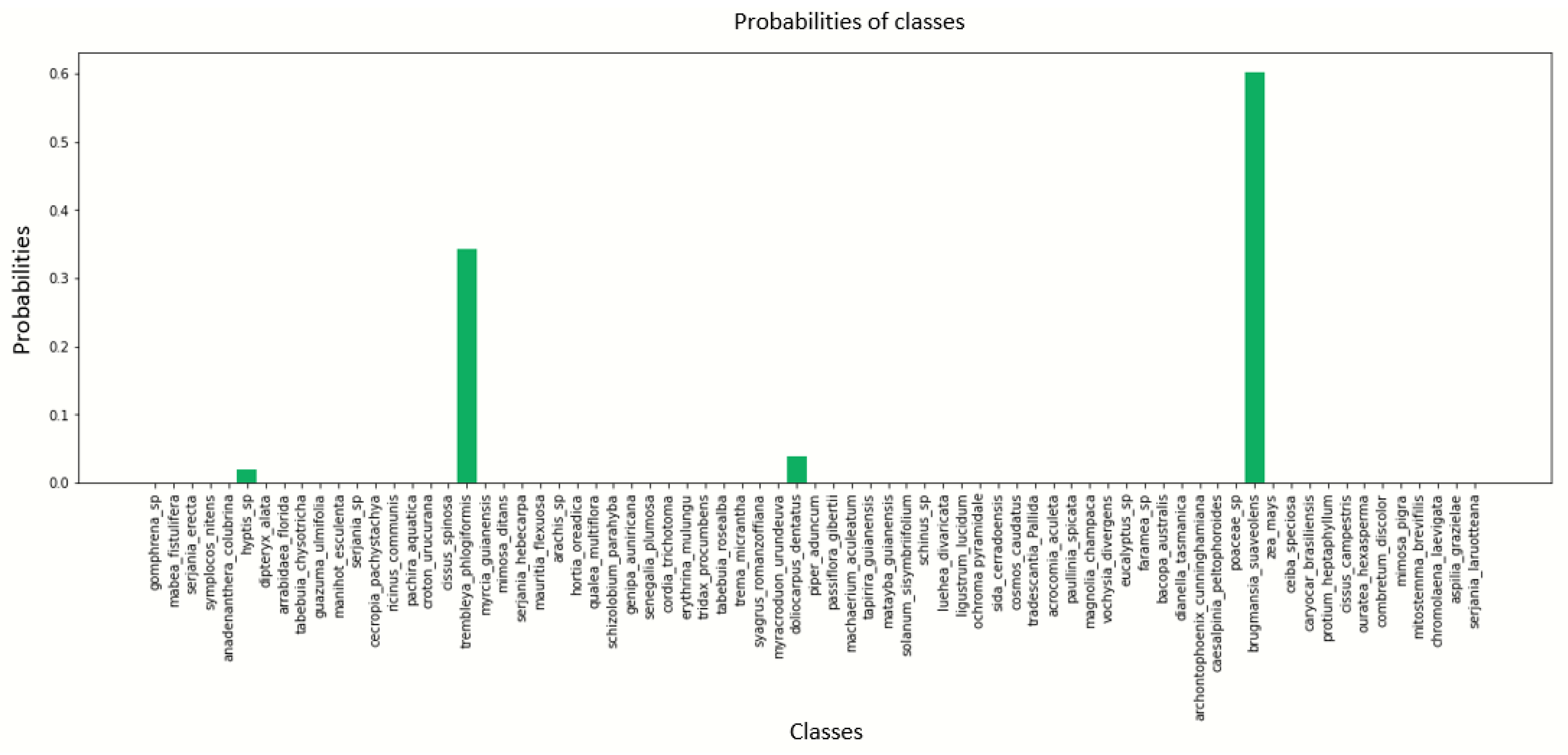 Pollen Grain Classification Using Some Convolutional Neural Network Architectures