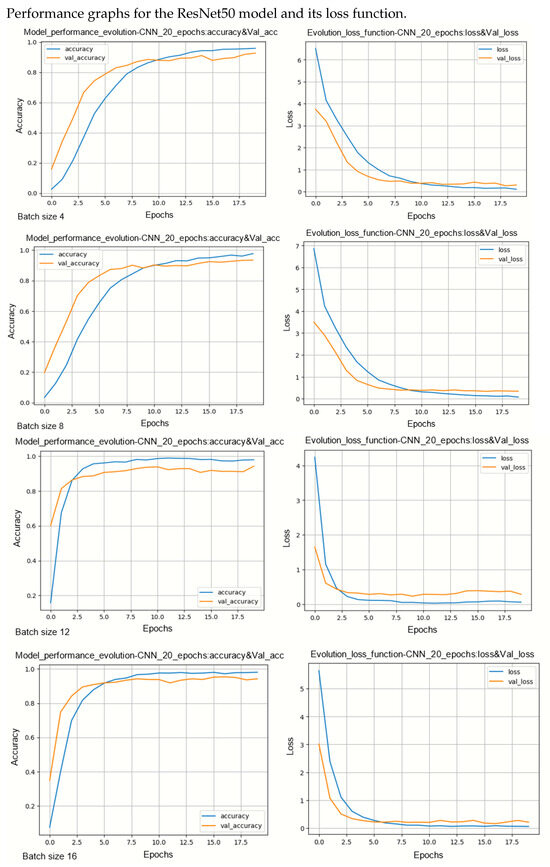 Pollen Grain Classification Using Some Convolutional Neural Network Architectures