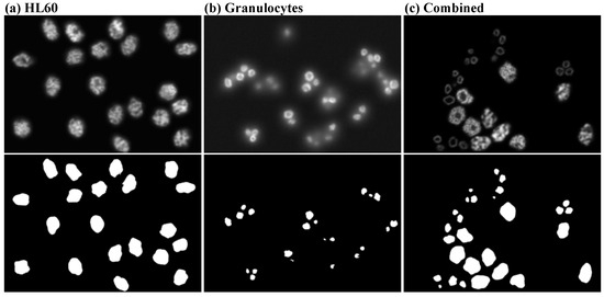 Reducing Manual Annotation Costs for Cell Segmentation by Upgrading Low ...