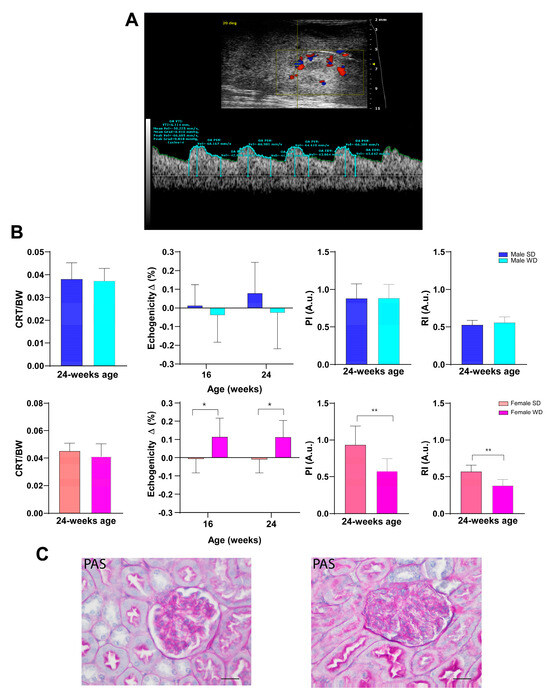 Integrated Ultrasound Characterization of the Diet-Induced Obesity (DIO ...