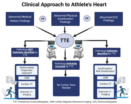 The Role of Cardiovascular Imaging in the Diagnosis of Athlete’s Heart ...
