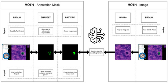 MOTH: Memory-Efficient On-the-Fly Tiling of Histological Image Annotations Using QuPath