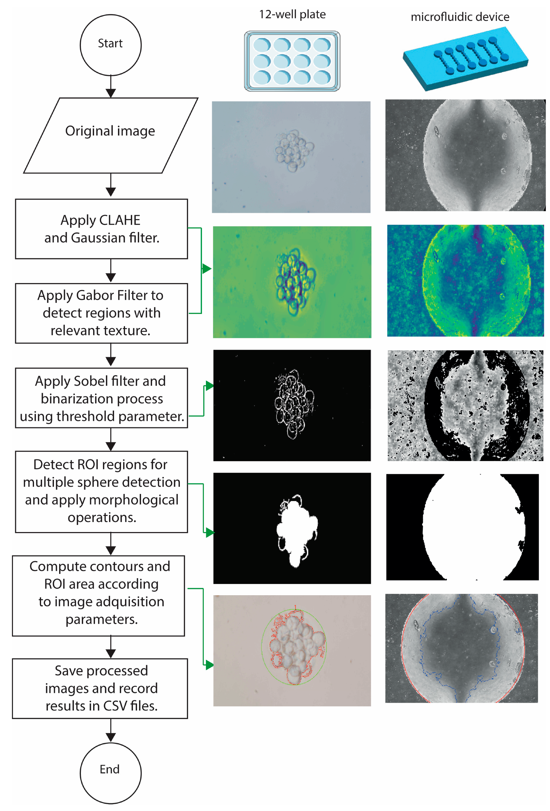 AQSA—Algorithm for Automatic Quantification of Spheres Derived from Cancer Cells in Microfluidic ...
