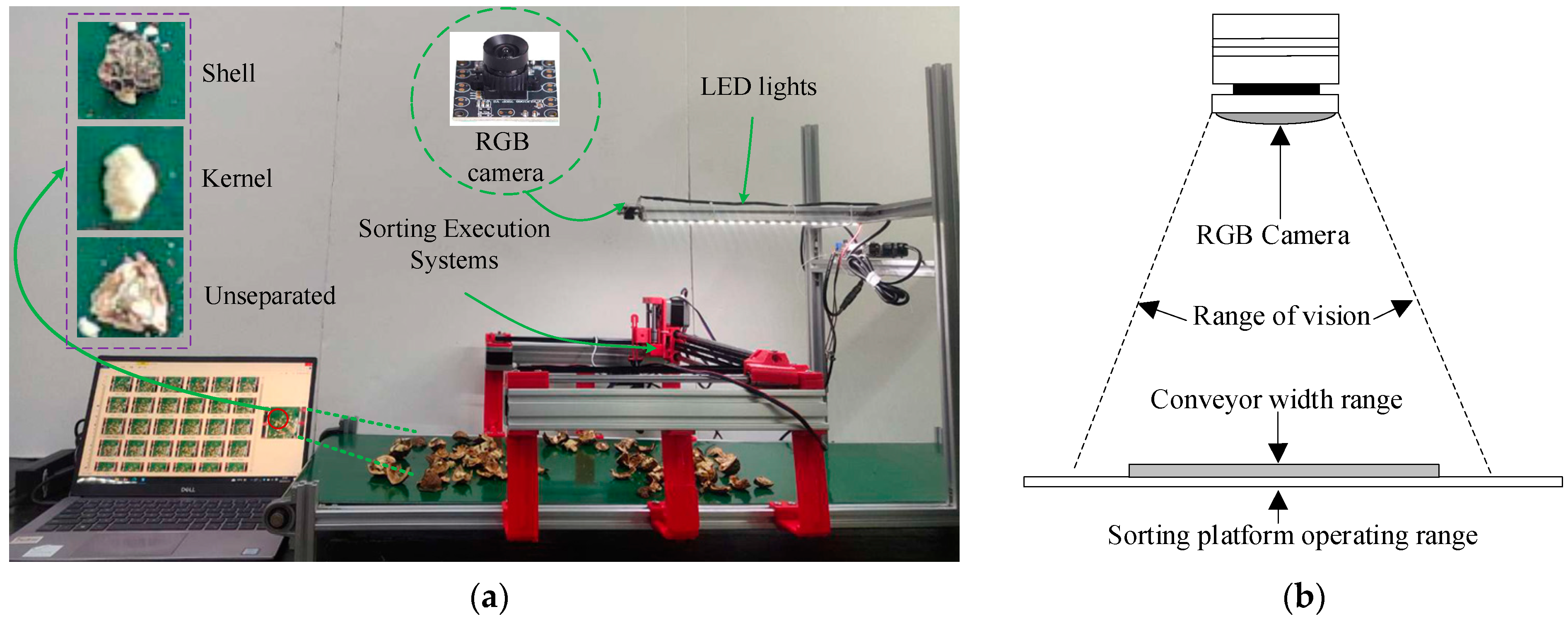 FastQAFPN-YOLOv8s-Based Method for Rapid and Lightweight Detection of Walnut Unseparated Material