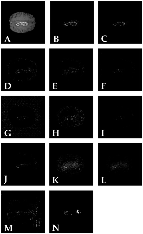 Adapting Classification Neural Network Architectures for Medical Image Segmentation Using ...