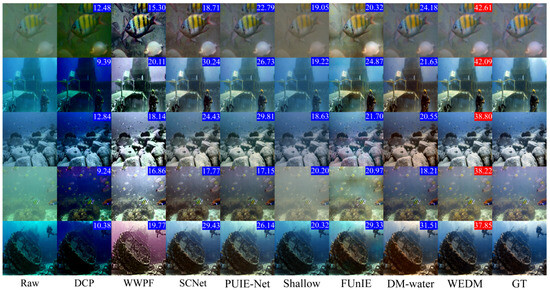 WEDM: Wavelet-Enhanced Diffusion with Multi-Stage Frequency Learning ...
