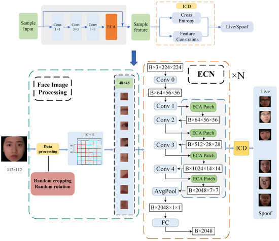 Face Anti-Spoofing Based on Adaptive Channel Enhancement and Intra-Class Constraint