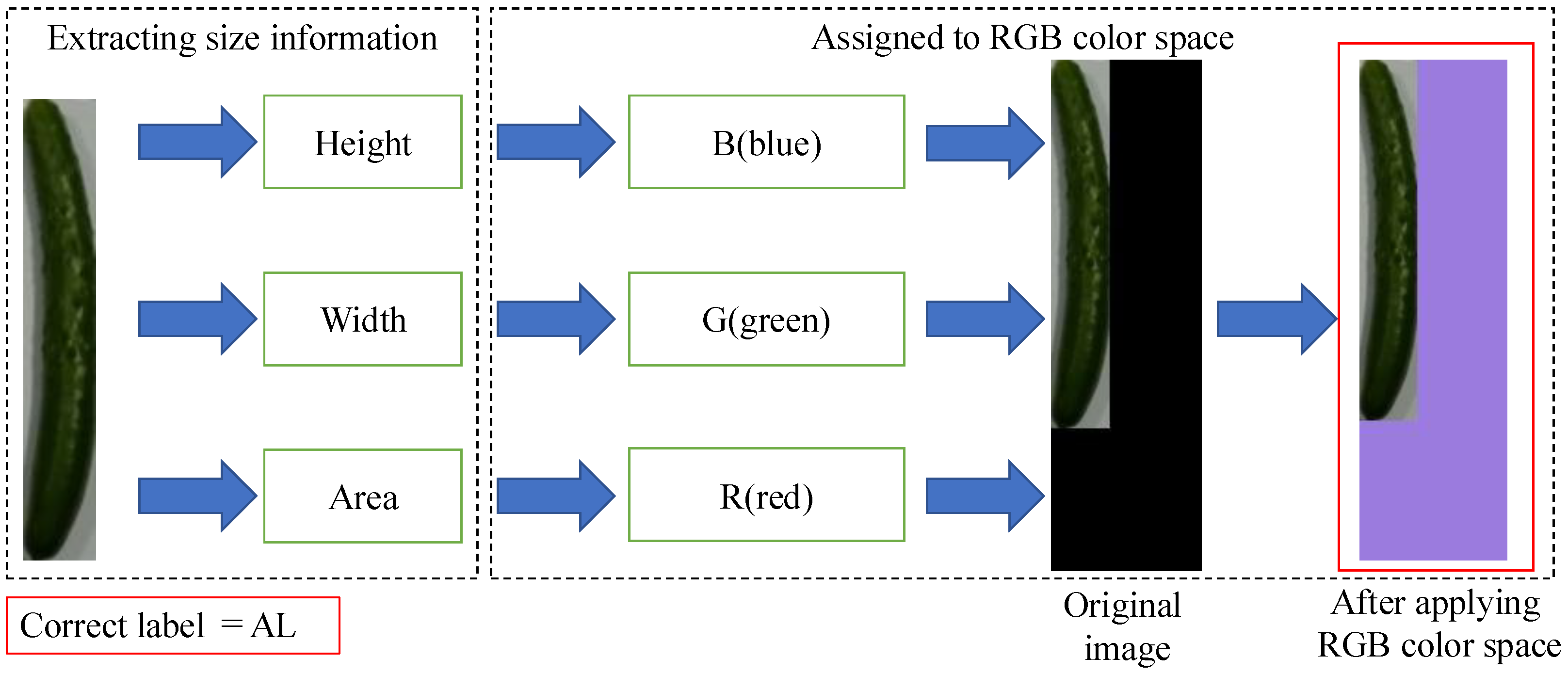 RGB Color Space-Enhanced Training Data Generation for Cucumber ...