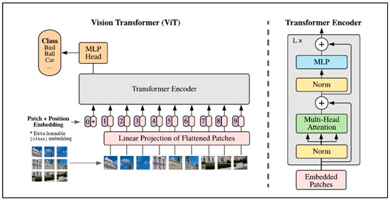 Evaluating Features and Variations in Deepfake Videos Using the CoAtNet ...