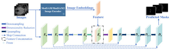 MedSAM/MedSAM2 Feature Fusion: Enhancing nnUNet for 2D TOF-MRA Brain ...