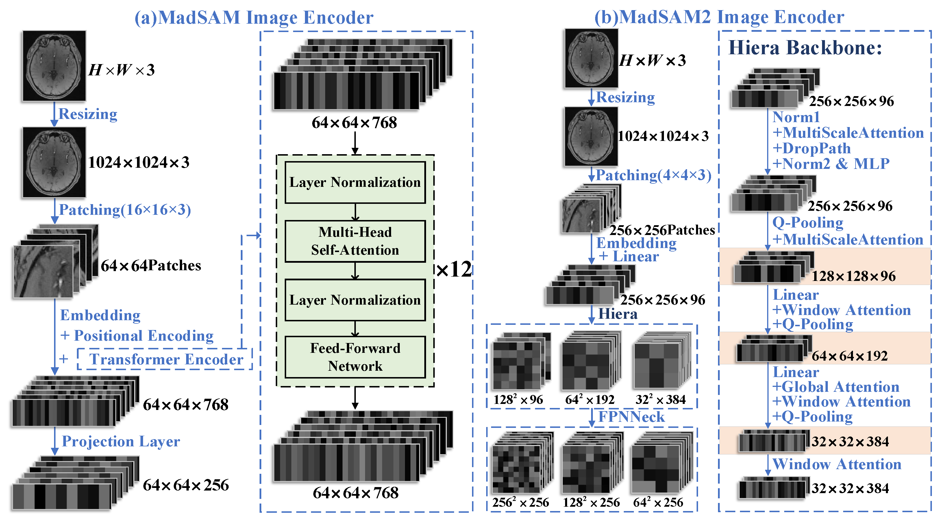 MedSAM/MedSAM2 Feature Fusion: Enhancing nnUNet for 2D TOF-MRA Brain ...