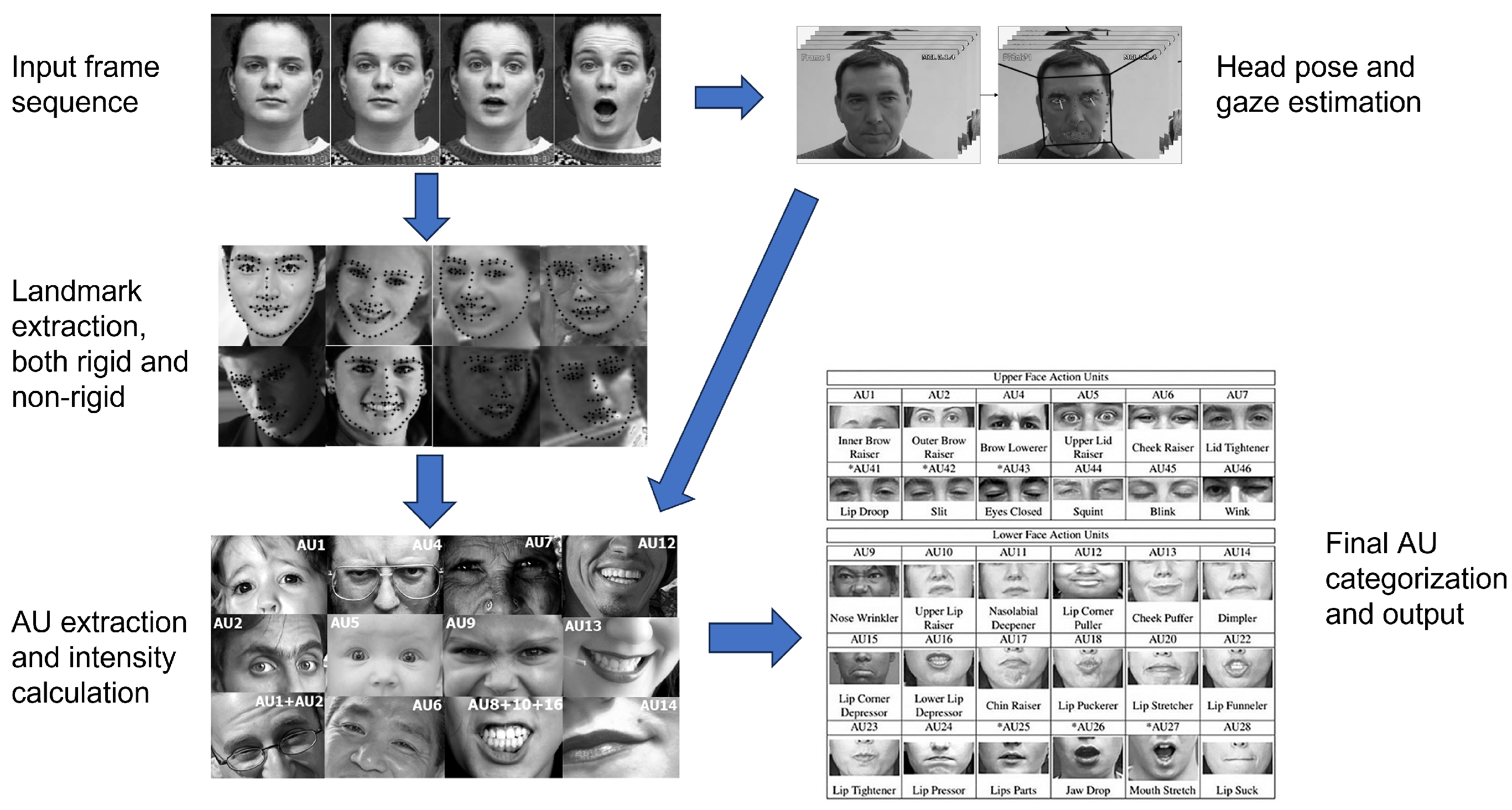 A Dual-Branch Fusion Model for Deepfake Detection Using Video Frames and Microexpression Features