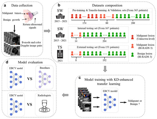 Predicting Very Early-Stage Breast Cancer in BI-RADS 3 Lesions of Large ...