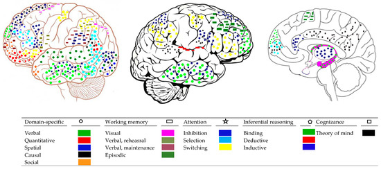 Mapping Mind-Brain Development: Towards a Comprehensive Theory