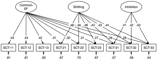 How Executive Processes Explain the Overlap between Working Memory Capacity and Fluid ...