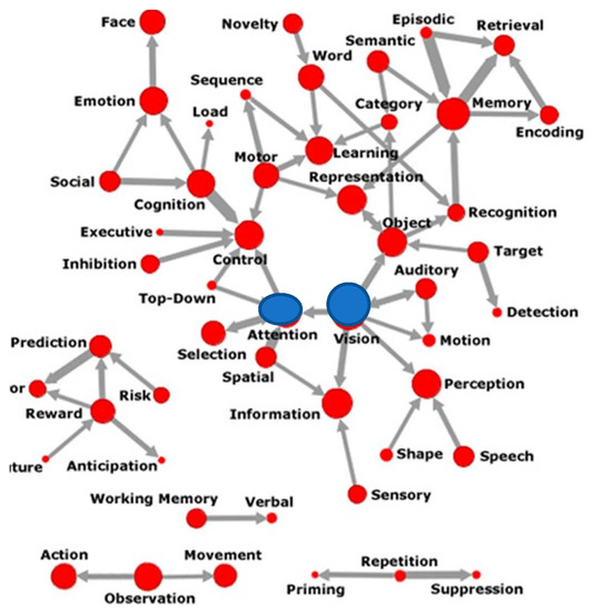 The Evolution and Future Development of Attention Networks