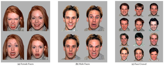 AI for Psychometrics: Validating Machine Learning Models in Measuring ...