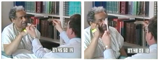 Seeing without a Scene: Neurological Observations on the Origin and ...