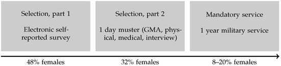 Large-Scale Item-Level Analysis of the Figural Matrices Test in the ...
